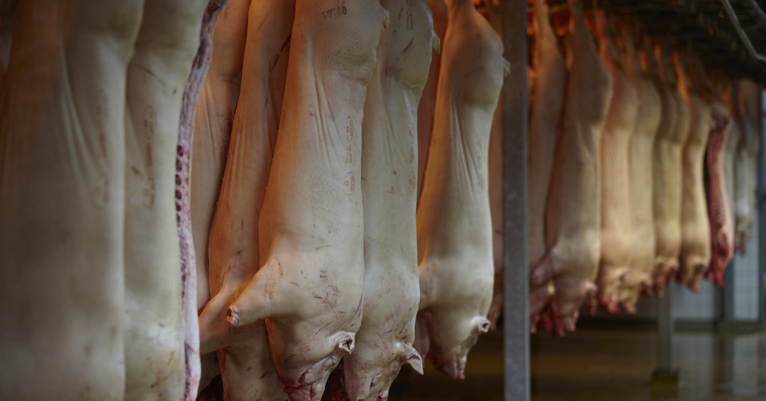 Denmark's biggest industry | Agriculture and Food UK