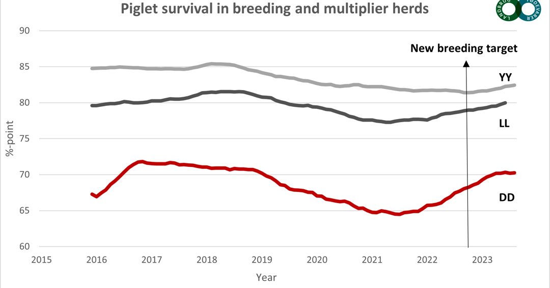 Increase in piglet survival with DanBred genetics