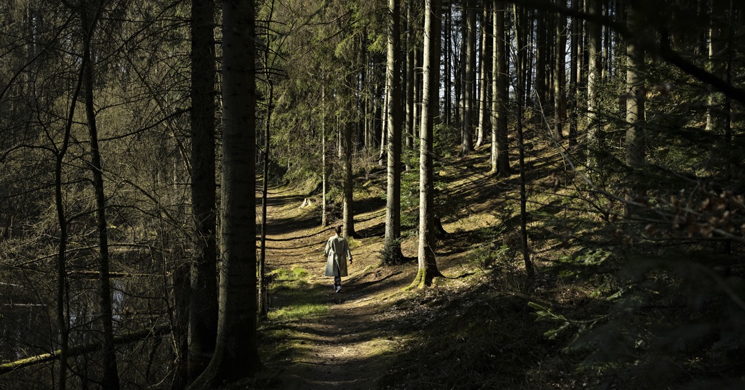 Asf sign | Agriculture and Food UK