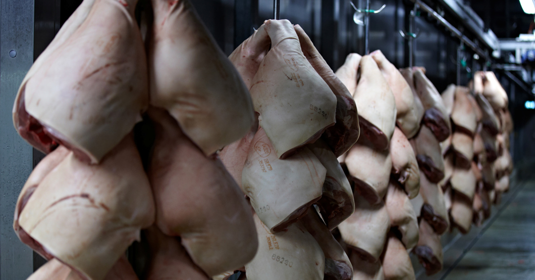 New graphs showing production in the Danish pig sector, 2020