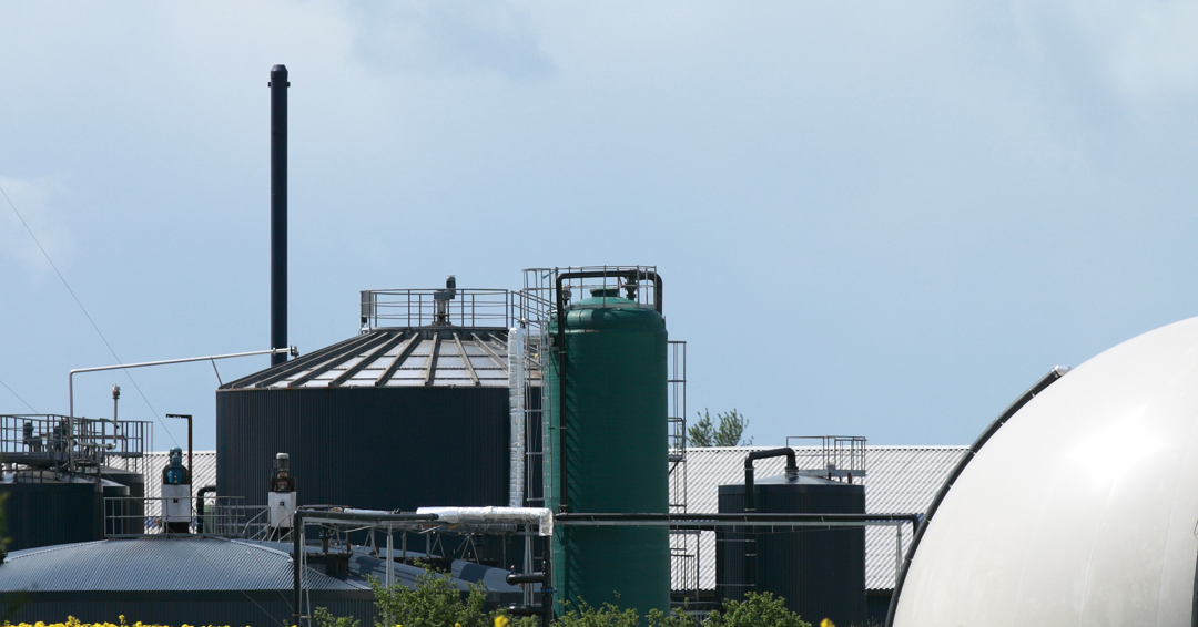 Pig manure creates green/sustainable gas