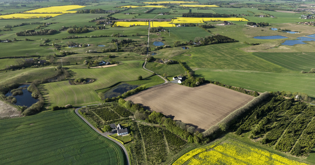 Denmark is set to meet the climate target by 2030