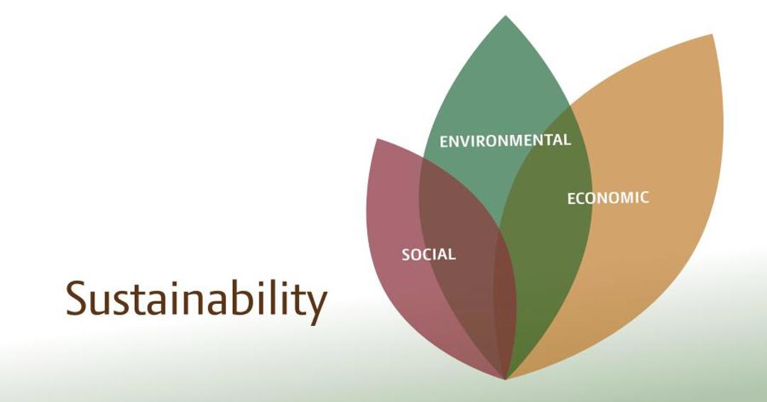 Dimensions Of Sustainability Agriculture And Food Uk