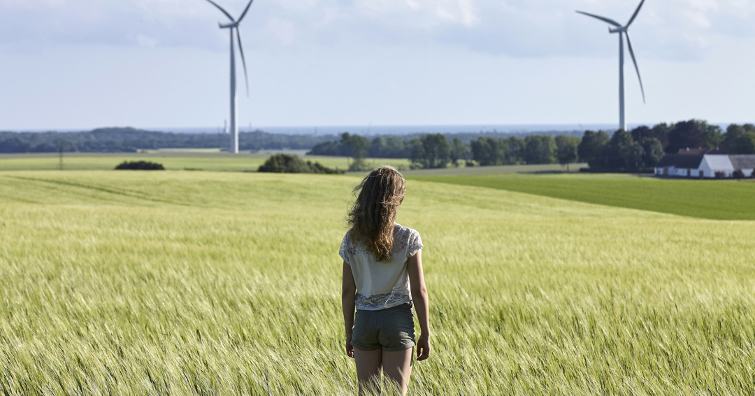 Denmark sustainability | Agriculture and Food UK