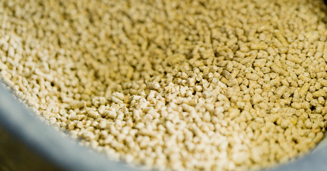 Soy sustainability | Agriculture and Food UK