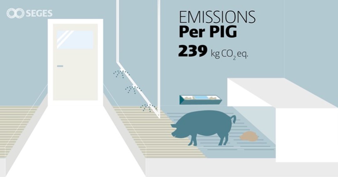 Carbon footprint and pig production