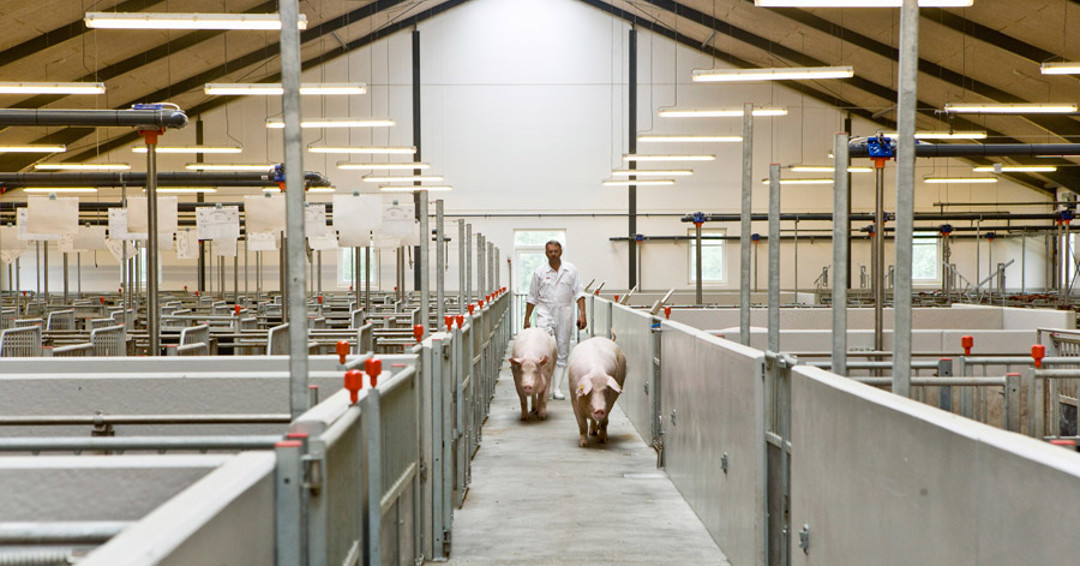 Hygiene and disease prevention